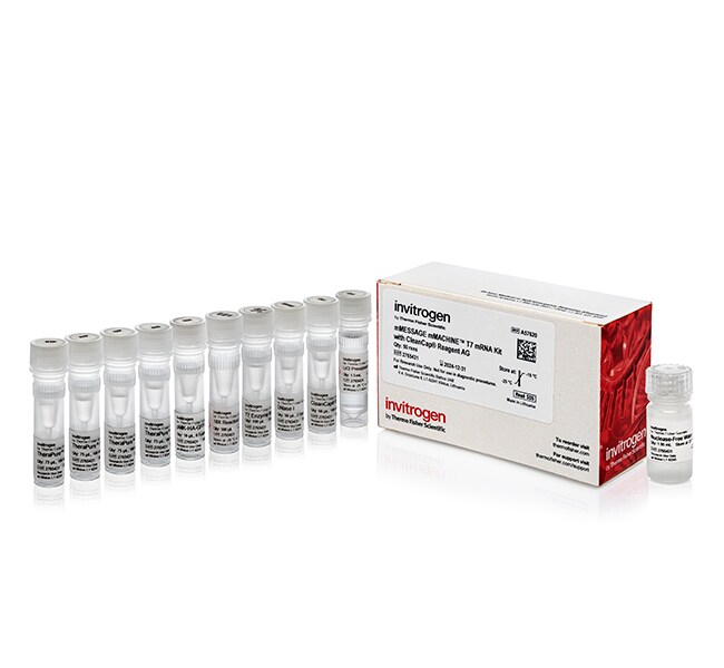 mMESSAGE mMACHINE™ T7 mRNA Kit with CleanCap™ Reagent AG 50 Reactions | Buy Online